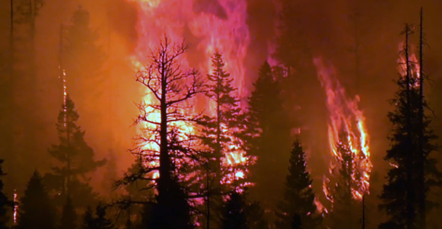New Film Profiles Immediate Actions to Restore California's Wildfire ...